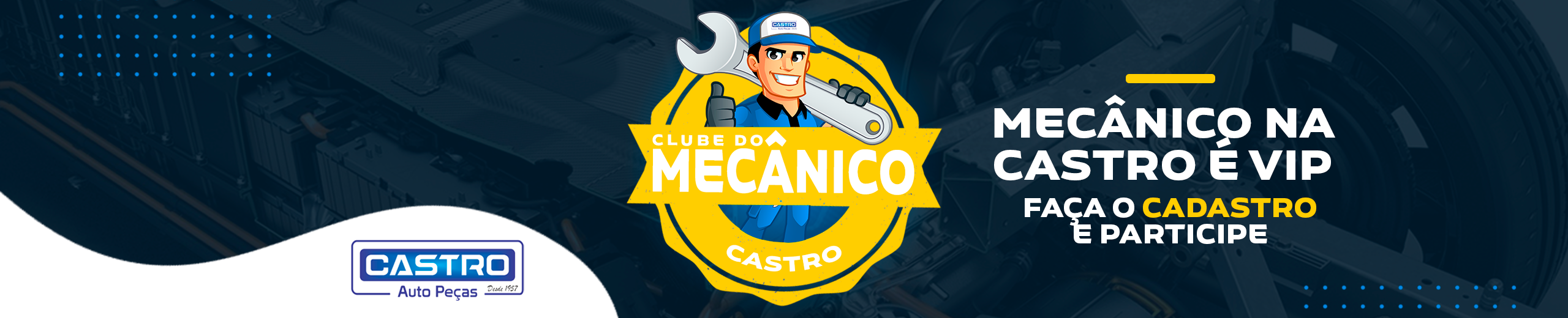 AUTO PEÇAS CASTRO LTDA